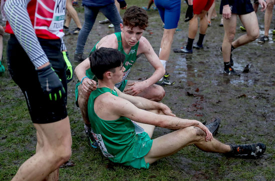 Irelands Darragh Mcelhinney Jamie Battle After Editorial Stock Photo ...