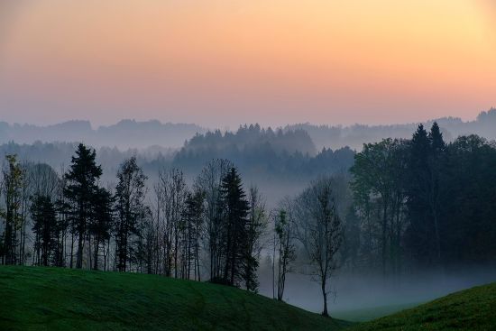 Dawn Mist Over Forest Giesberg Near Editorial Stock Photo - Stock Image ...