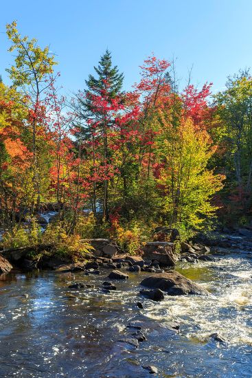 Rapids On River Riviere Du Diable Editorial Stock Photo - Stock Image ...
