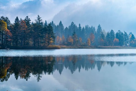 Morning Fog Autumn Lake Schwansee Fuessen Editorial Stock Photo - Stock ...