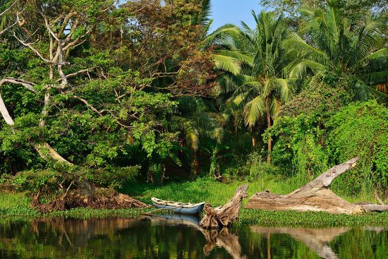Dugout Canoe Boom Lake Near Habarana Editorial Stock Photo - Stock ...