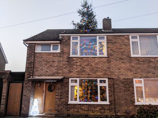 26 Foot Christmas Tree That Colin Editorial Stock Photo - Stock Image ...