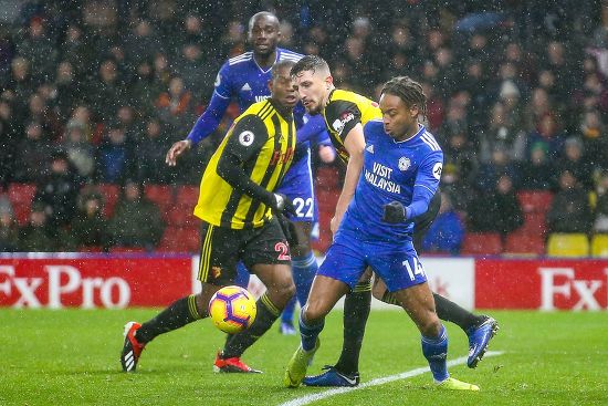 Cardiff City Midfielder Bobby Reid 14 Editorial Stock Photo - Stock ...