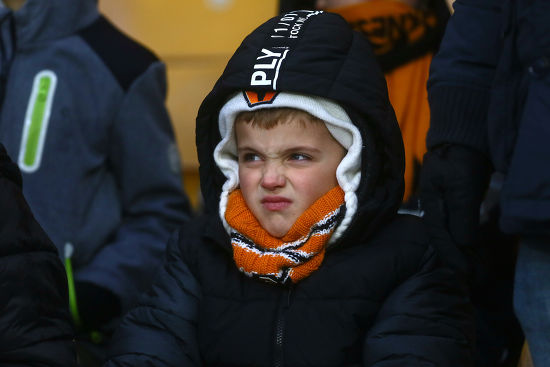 Unimpressed Looking Young Wolves Fan Wrapped Editorial Stock Photo ...