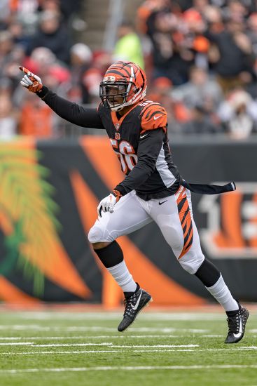Th Cincinnati Bengals Middle Linebacker Hardy Editorial Stock Photo ...
