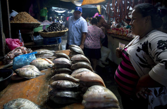 Woman Buys Fish Market Managua Nicaragua Editorial Stock Photo - Stock ...
