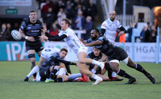 Callum Braley Gloucester Scrm Half Gets Editorial Stock Photo - Stock ...