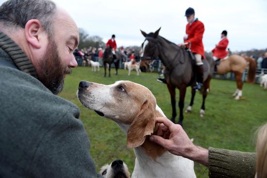 New Forest Hounds Boxing Day Hunt Editorial Stock Photo - Stock Image ...