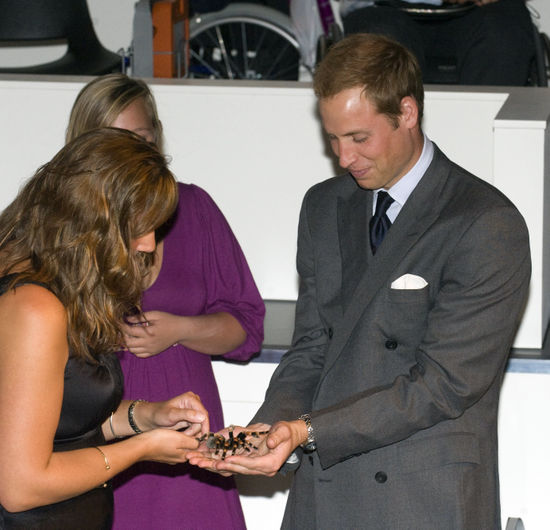 Prince William Handed Tarantula Spider By Editorial Stock Photo - Stock ...