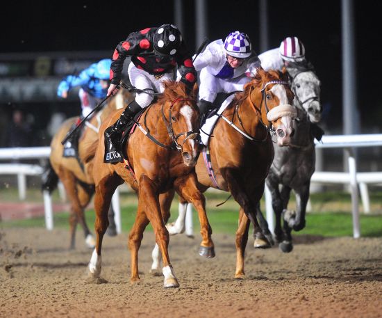 Dundalk Ragtime Red Danny Sheehy Win Editorial Stock Photo - Stock ...