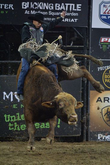 Professional Bull Rider Alex Marcilio Competes Editorial Stock Photo ...