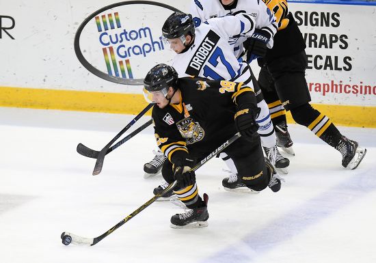 Green Bay Gamblers Forward Noah Prokop Editorial Stock Photo - Stock ...