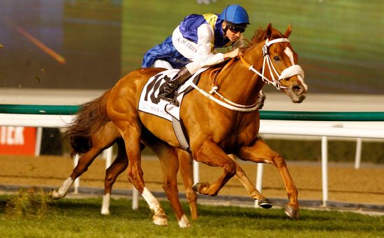 Baroot Adrie De Vries Wins Cepsa Editorial Stock Photo - Stock Image ...