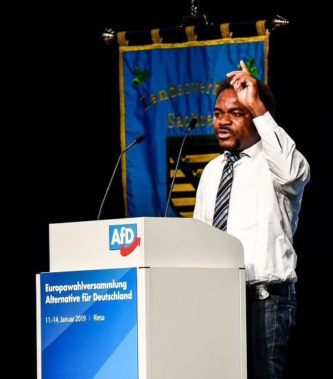 Afd Candidate European Parliament Election Achilles Editorial Stock ...