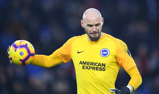 Goalkeeper David Button Brighton Editorial Stock Photo - Stock Image ...