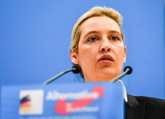 Alternative Fuer Deutschland Afd Party Faction Editorial Stock Photo ...