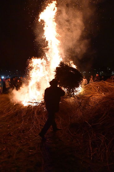 Man Throws Tree Into Fire Police Editorial Stock Photo - Stock Image ...