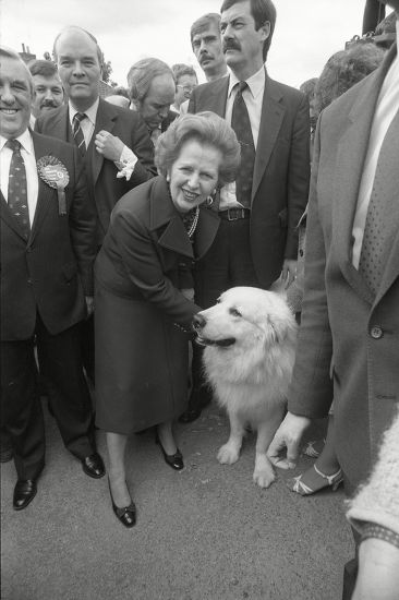 Margaret Thatcher Dog Editorial Stock Photo - Stock Image | Shutterstock