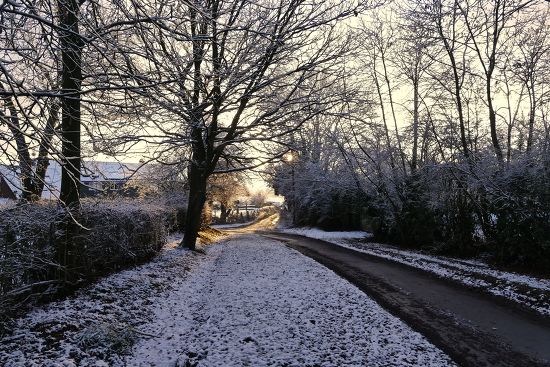 Clayfield Copse Berkshire Looks Almost Enchanted Editorial Stock Photo ...