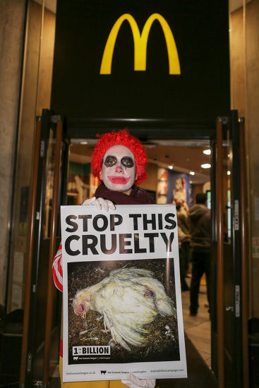 Humane League Uk Protest Tottenham Court Editorial Stock Photo - Stock ...