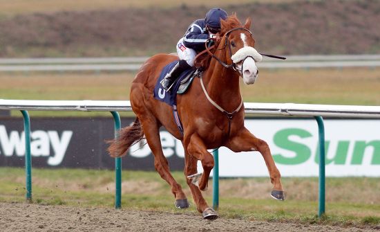 Harvey Dent Hollie Doyle Wins Ladbrokes Editorial Stock Photo - Stock ...