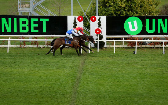 Chanelle Pharma Novice Hurdle Ruby Walsh Editorial Stock Photo - Stock ...