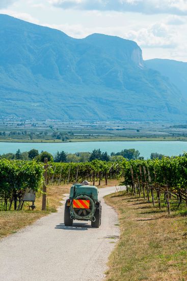Vineyard Vehicle Spraying Between Vines Lake Editorial Stock Photo ...