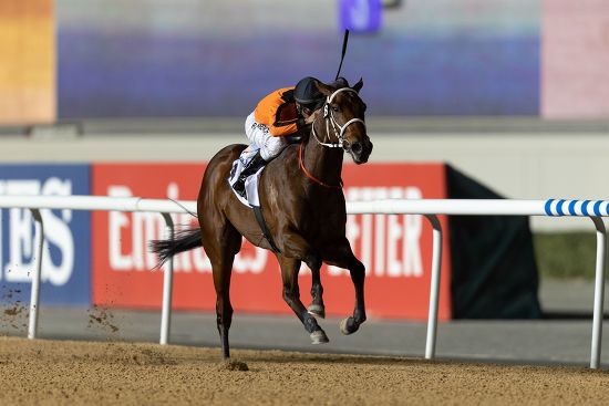 Tabarak Under Royston Ffrench Wins 7f Editorial Stock Photo - Stock ...