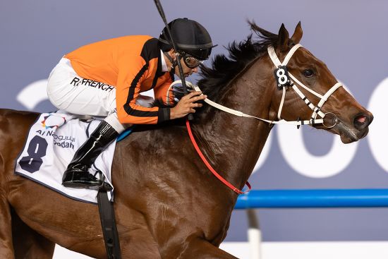 Tabarak Under Royston Ffrench Wins 7f Editorial Stock Photo - Stock ...