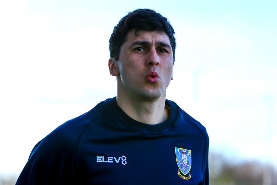 Fernando Forestieri Sheffield Wednesday Editorial Stock Photo - Stock ...