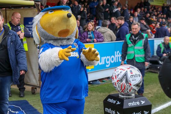 Haydon Womble About Grab Match Ball Editorial Stock Photo - Stock Image ...