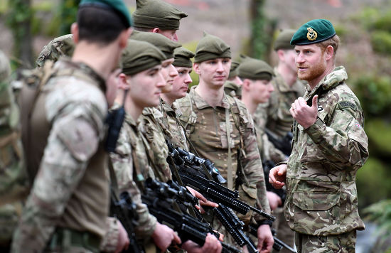 Prince Harry Captain General Royal Marines Editorial Stock Photo ...