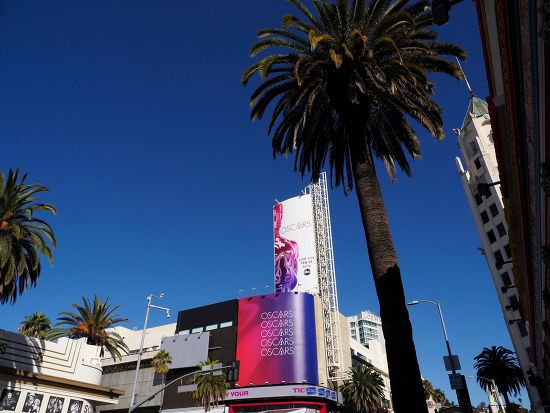 Oscars Signage Outside Start Red Carpet Editorial Stock Photo - Stock ...