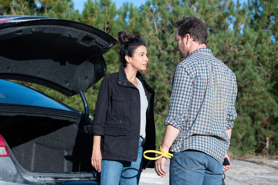 Emmanuelle Chriqui Dr Lila Kyle Markpaul Editorial Stock Photo - Stock ...