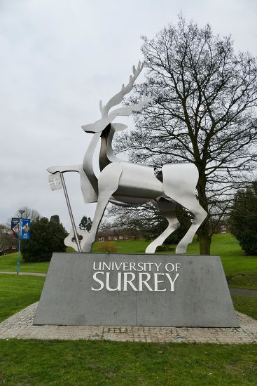 University Surrey Stag Hill Guildford Editorial Stock Photo - Stock ...