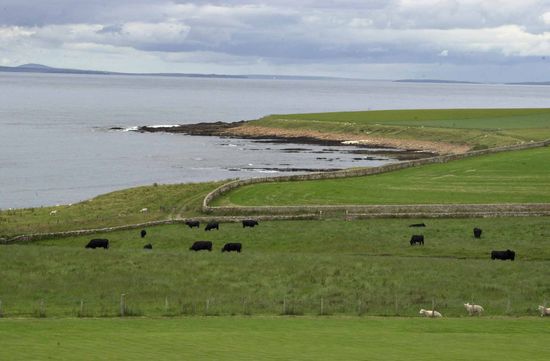Castle Mey Former Residence Queen Mother Editorial Stock Photo - Stock ...