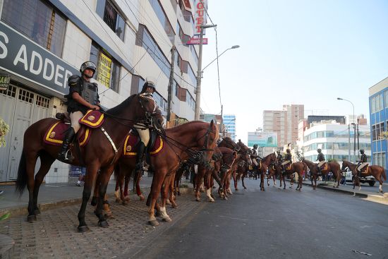 Members Mounted Division National Police Peru Editorial Stock Photo ...