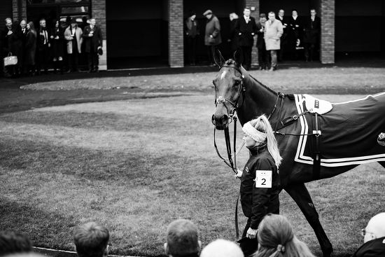 Saddling Area Cheltenham Editorial Stock Photo - Stock Image | Shutterstock