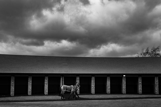 Saddling Area Cheltenham Editorial Stock Photo - Stock Image | Shutterstock