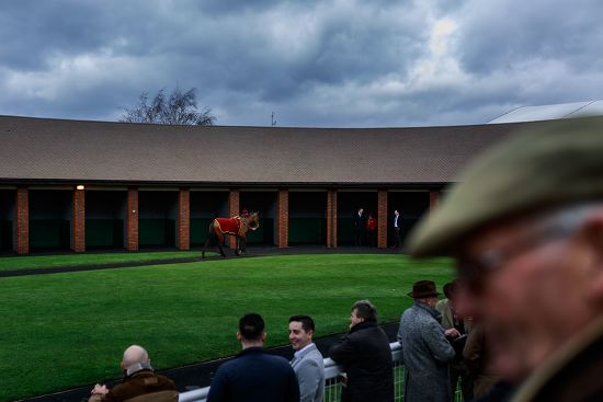 Saddling Area Cheltenham Editorial Stock Photo - Stock Image | Shutterstock
