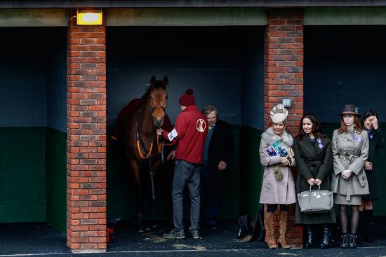 Saddling Area Cheltenham Editorial Stock Photo - Stock Image | Shutterstock