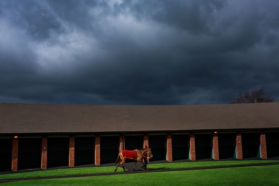 Saddling Area Cheltenham Editorial Stock Photo - Stock Image | Shutterstock