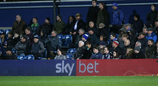 Sky Bet Perimeter Branding 3d Pitch Editorial Stock Photo - Stock Image ...