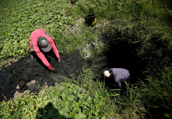 Filipino Farmers Dig Hole Ground Find Editorial Stock Photo - Stock ...