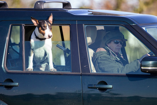 Princess Anne Driving Her Land Rover Editorial Stock Photo - Stock ...