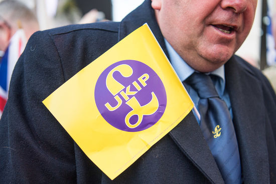 Leave Supporter Displays Ukip Flag Editorial Stock Photo - Stock Image ...