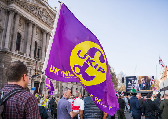 Leave Supporter Carries Ukip Flag Whitehall Editorial Stock Photo ...