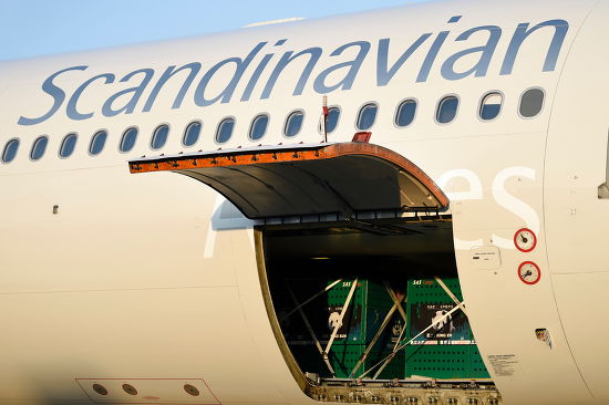 Boxes Carrying Two Giant Pandas Named Editorial Stock Photo - Stock ...