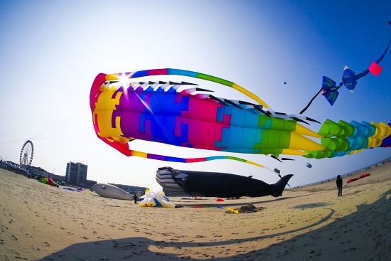 Participants Kitemakers Flying Their Giant Kites Editorial Stock Photo ...
