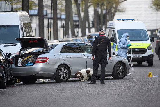 Police Sniffer Dog Used Search Car Editorial Stock Photo - Stock Image ...